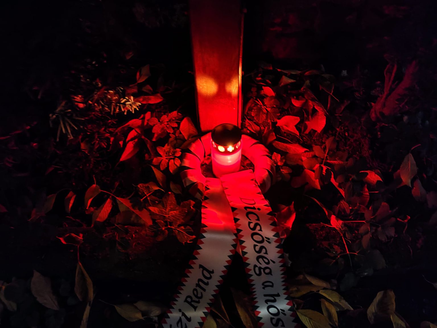 Remembrance of the Revolution - Vitézi Rend